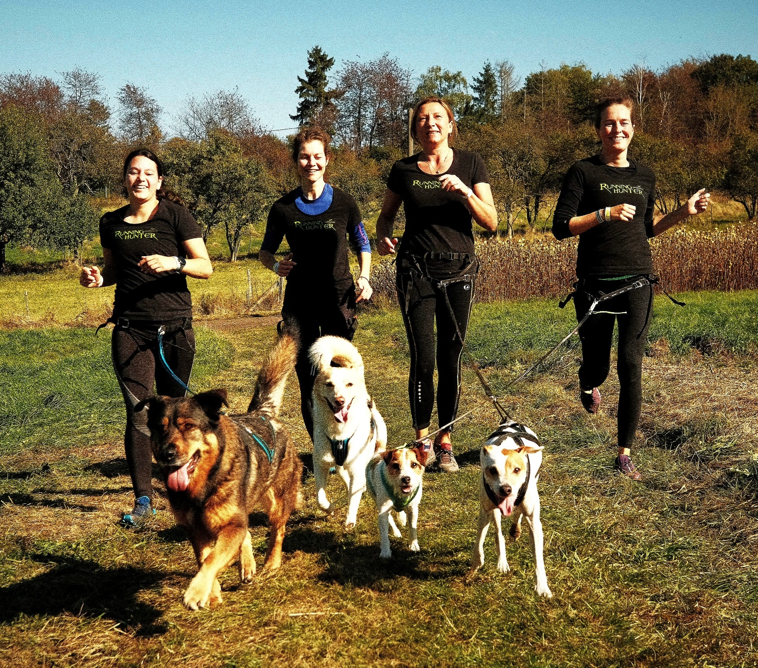 Runninghunter - Köln - Canicross - Canicrossfit - Training - Kurs ...